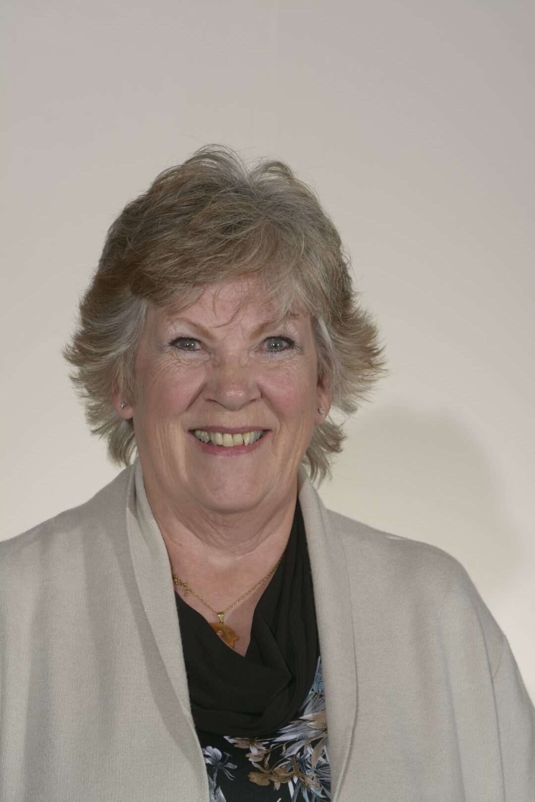 Council - Village of Fruitvale